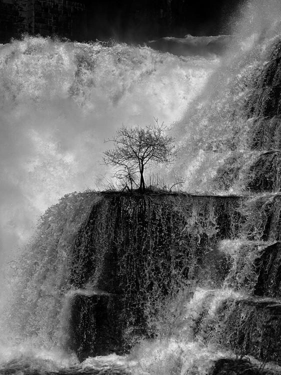 1839 Awards | Jennifer Newitt | Nominee (Landscapes)