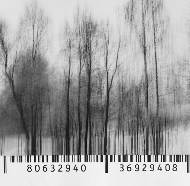 1839 Awards | Oksana Zhila | Silver (Conceptual)