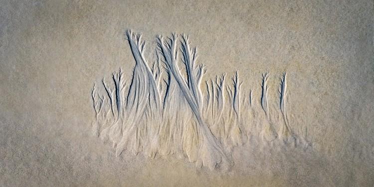 1839 Awards | Robyn Finlayson | Nominee (Nature)