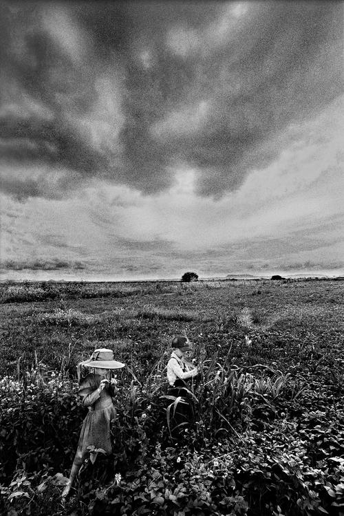 1839 Awards | Arturo Bermúdez | Bronze (Youth)